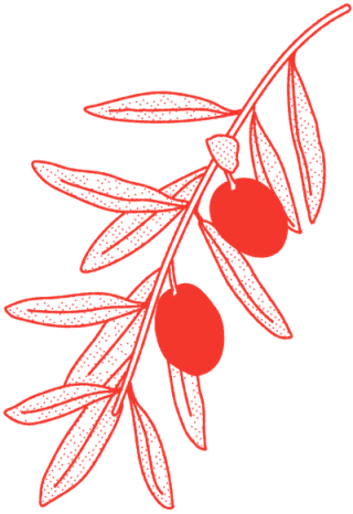 Fragrant Sprout Curry - Delicious Brussel Sprout Recipe